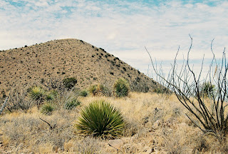 Southern New Mexico Explorer: Mount Riley Wilderness - Cox Peak, Organ ...