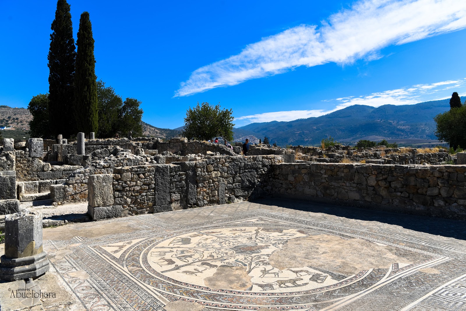 Volubilis - Viaje a Marruecos - Las cosas del Abuelo O'hara