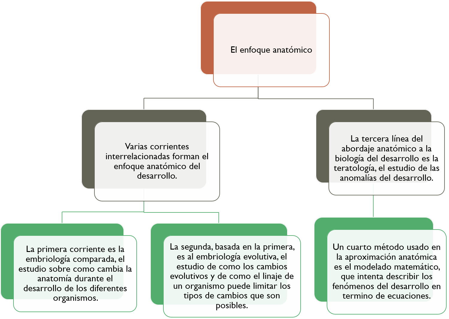 Biología del desarrollo, diferenciación y crecimiento celular