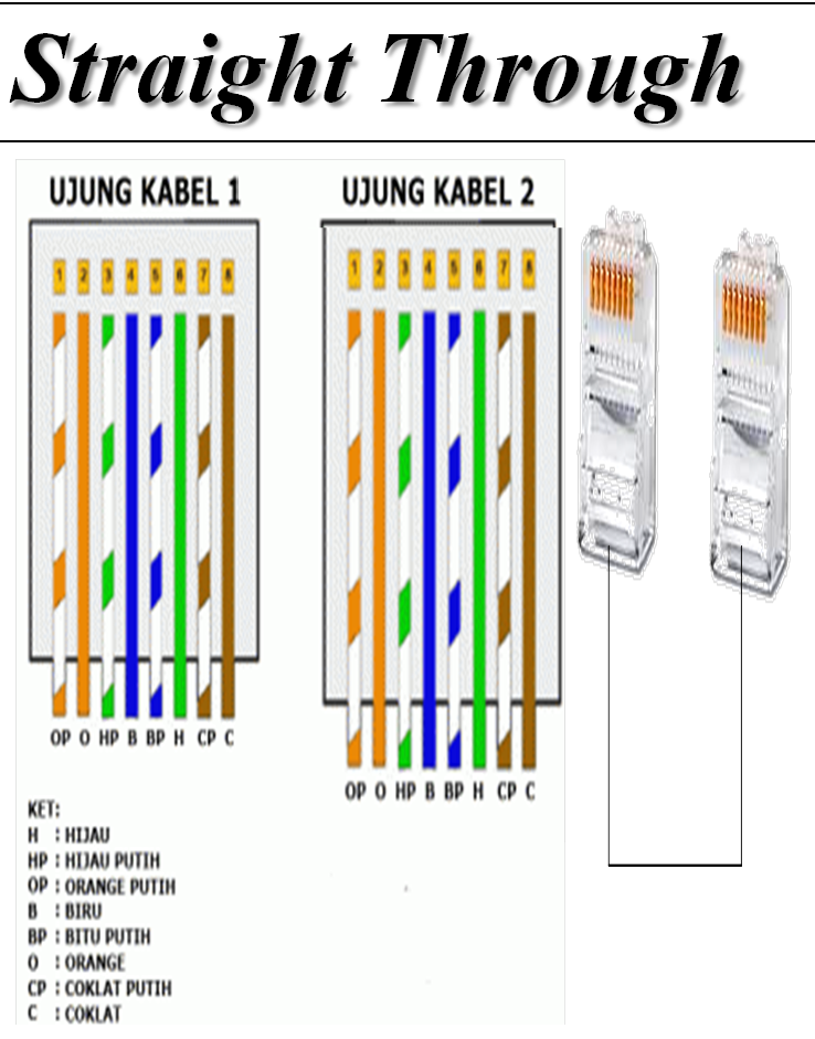 Kabel Jaringan | Smekaff