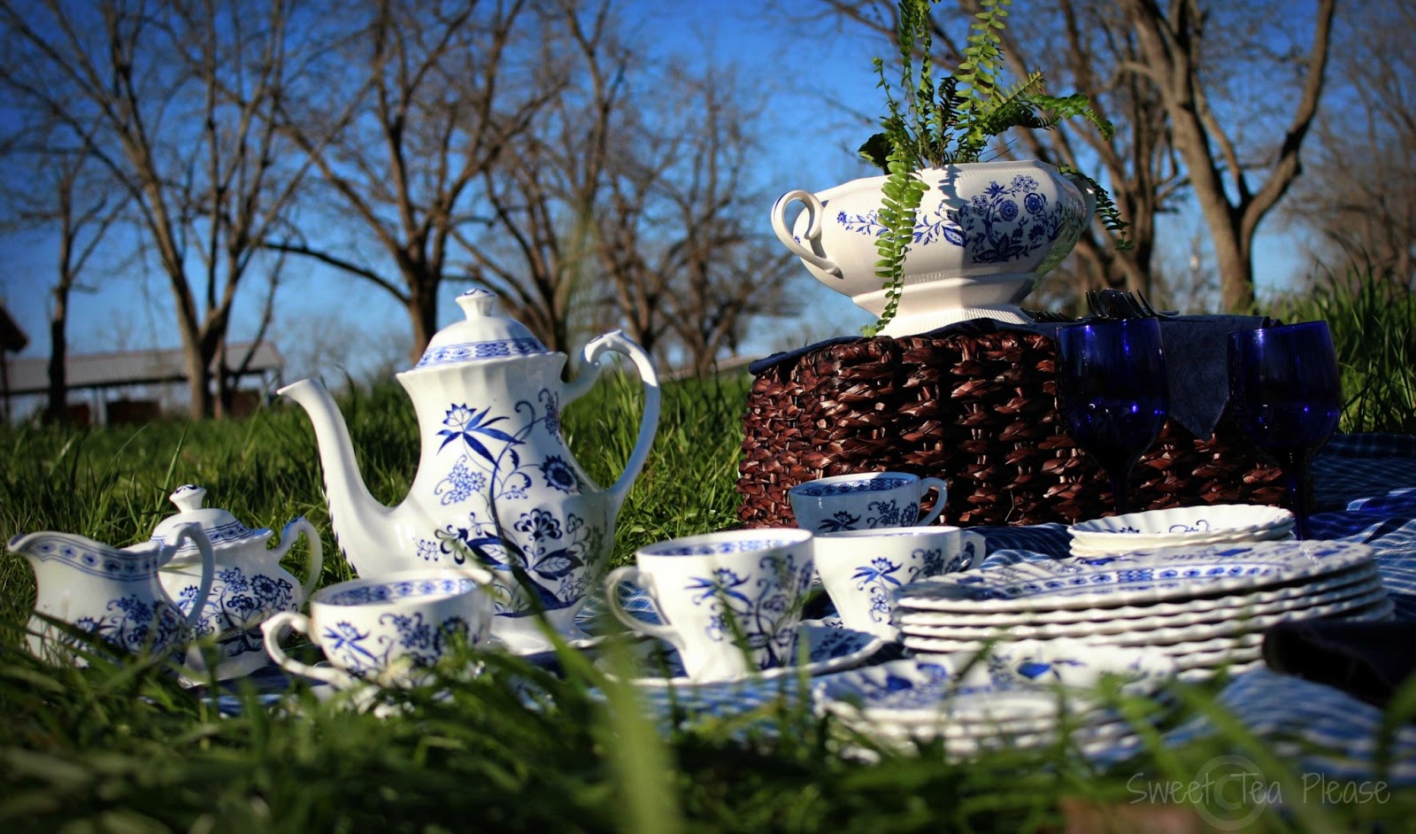 Andrea Howard Blog: Classic White Nordic by J&G Meakin