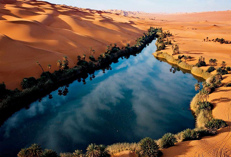 Pix Grove: Fabulous Oasis in The Libyan Sahara