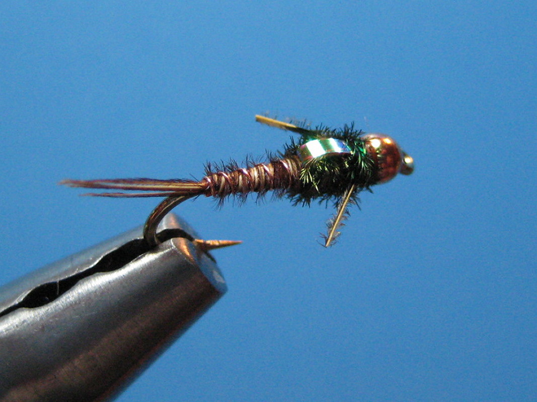 cp's fly fishing and fly tying: Pheasant Tail Nymph - The Many Colors