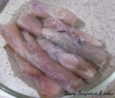 Loving Bangladeshi Kitchen(রান্নাঘর): Lotia Fish Curry(লটিয়া মাছের তরকারী)