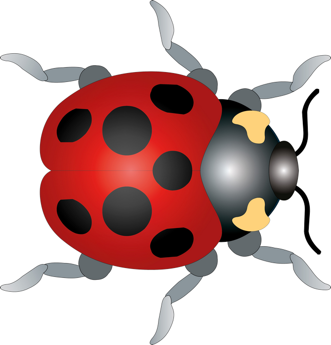 Só png: JOANINHAS EM PNG