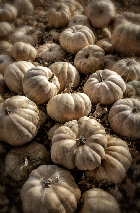 Dan Routh Photography: November 2013