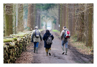 What a Wonderful World!: Op wandel in 't Bulskampveld