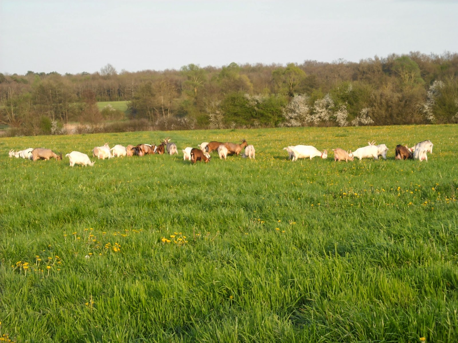 BIENVENUE A LA FERME: Notre ferme