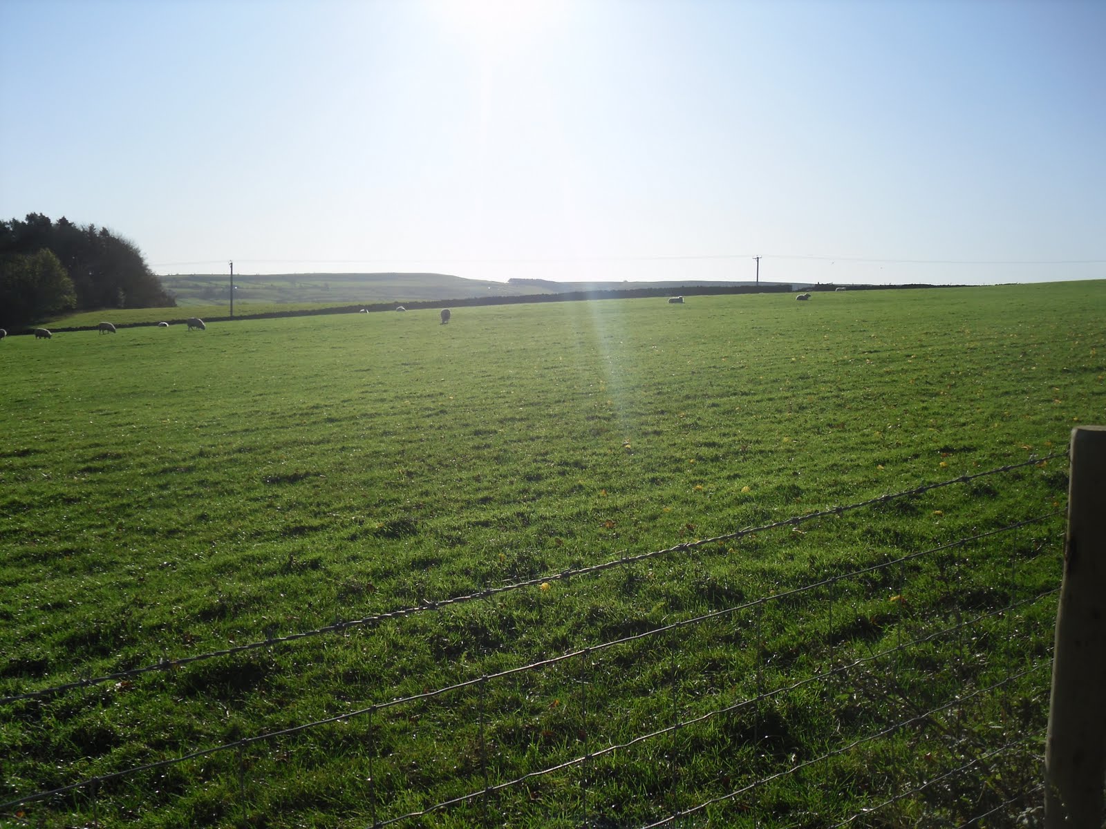 Rambling Nana: Wolsingham, Tunstall Reservoir Circular