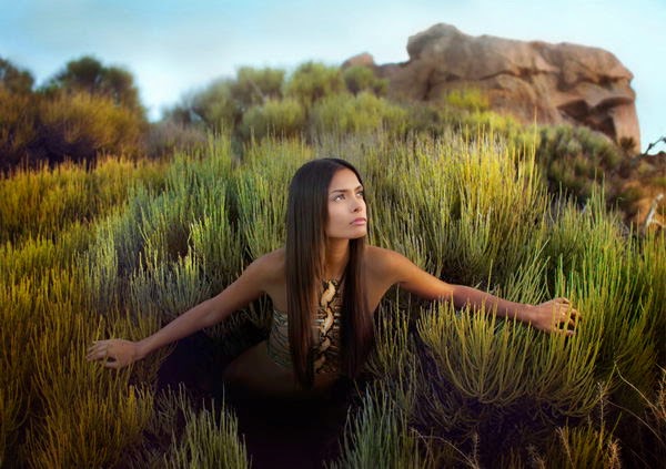 Timeless Environments: Squaw Tea (Ephedra californica) or maybe ...
