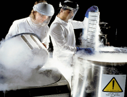 LA LECTURA ES UNA VIRTUD: CRIOGENIA