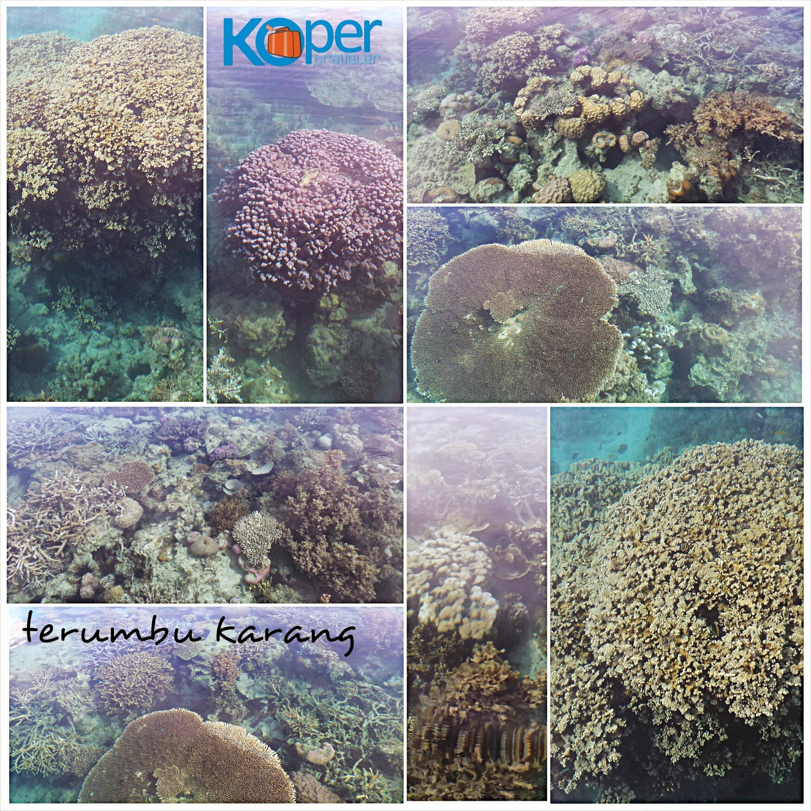 Pulau Temawan, Tarempa Anambas - Koper Traveler