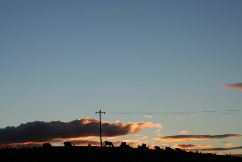 Lilyfield Life: Beautiful Countryside of the Far South Coast
