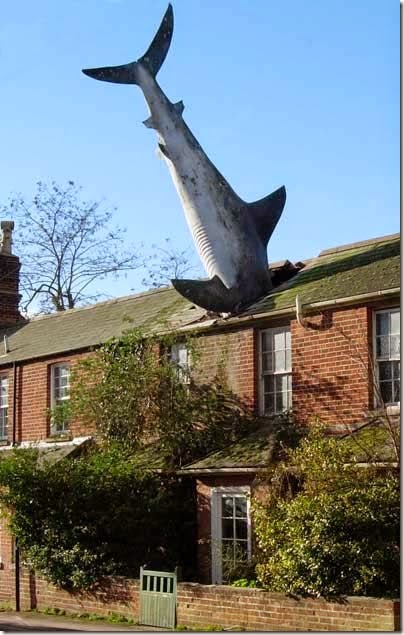 Outback Roofing Roof Rants