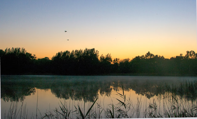 wandering in the light: Damn Mist :: Jells Park Lake