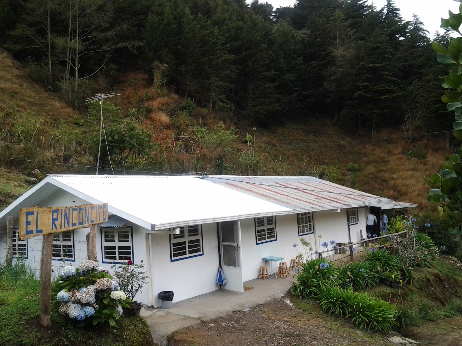 Paseos en Costa Rica: El Rinconcito, Copey de Dota