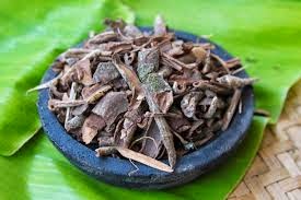 simplisia cortex ~ Ega Ayu Prastika