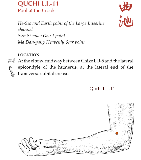 Acupuncture Masters: Acupuncture Points Database - Large Intestine channel