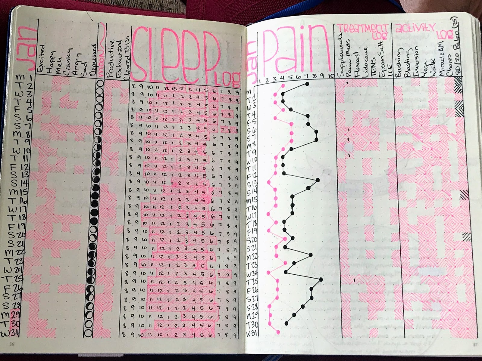 Tracking Energy in a Bullet Journal for Chronic Pain and Illness ...