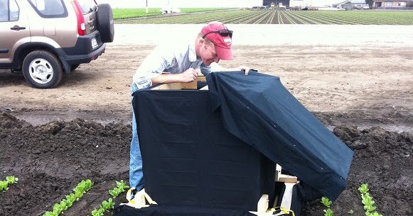 Robôs agricultores orgânicos detetam e destroem ervas daninhas ...