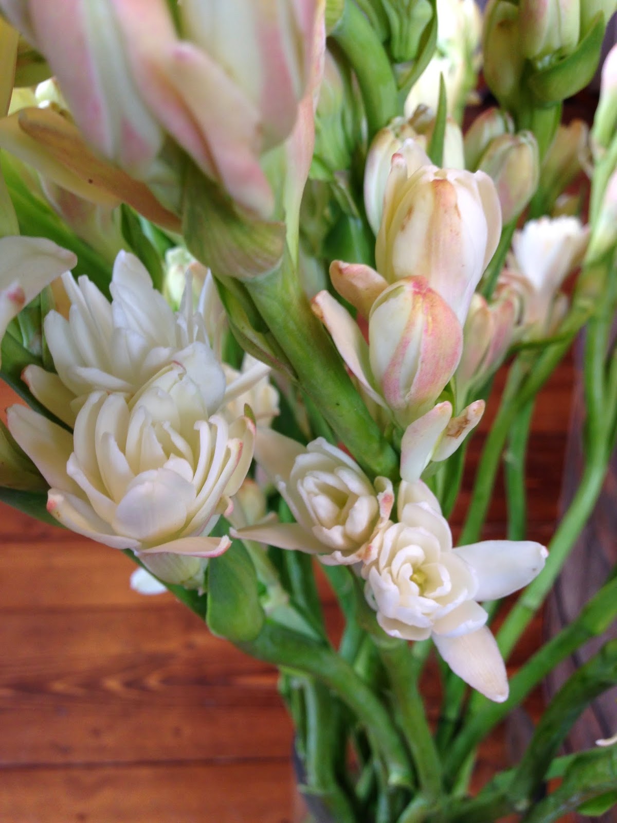 flower of the week : tuberose : july 10 - Les Fleurs
