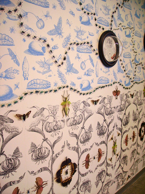 Koi Story: Artist Spotlight v2: Jennifer Angus