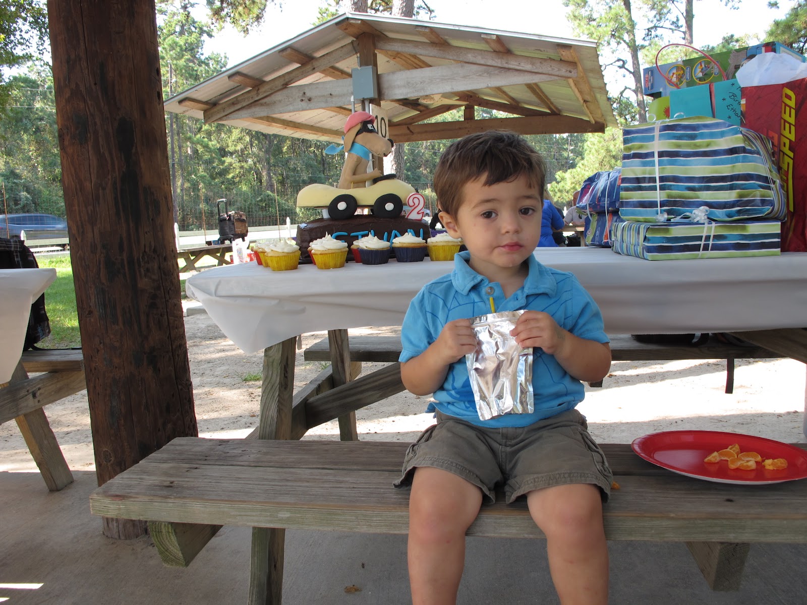 Cake Craft: Go Dog Go! Cake