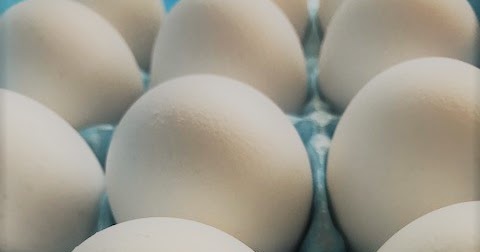 Egg-citing Facts / Eat Smart, Be Fit Maryland!