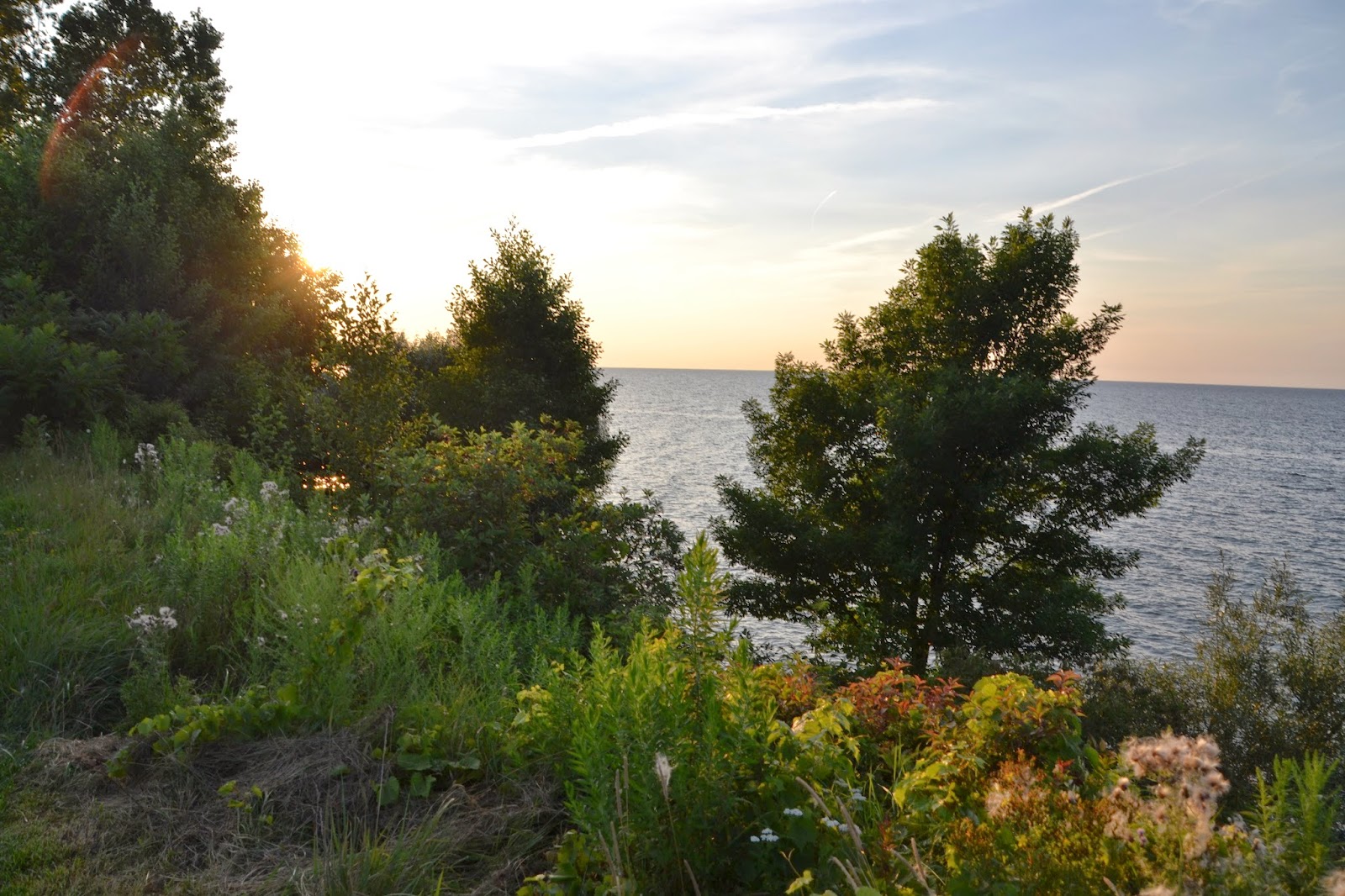 All Around the Map: Hale Farm and Village