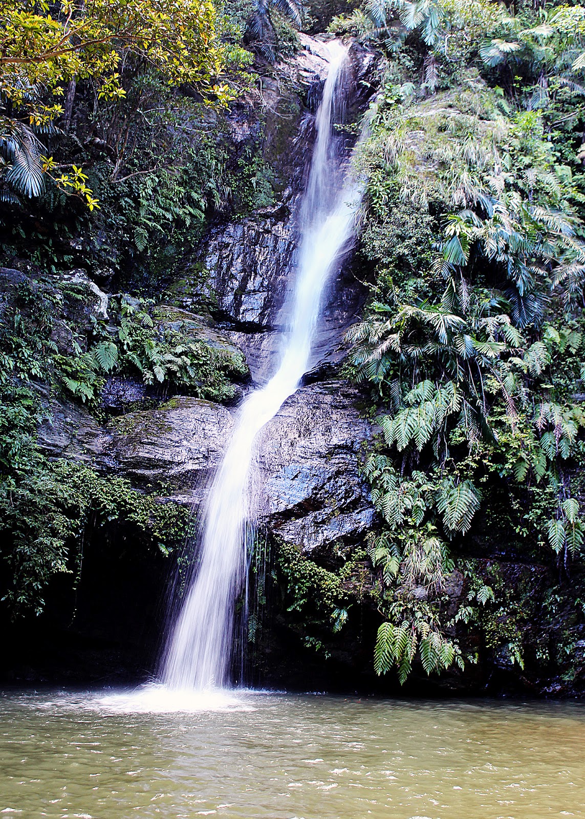 Enjoying Life With 4 Kids: Hiking to Fukugawa Falls