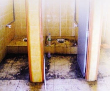 Buasir Otak: Panduan menggunakan tandas awam dengan bijak