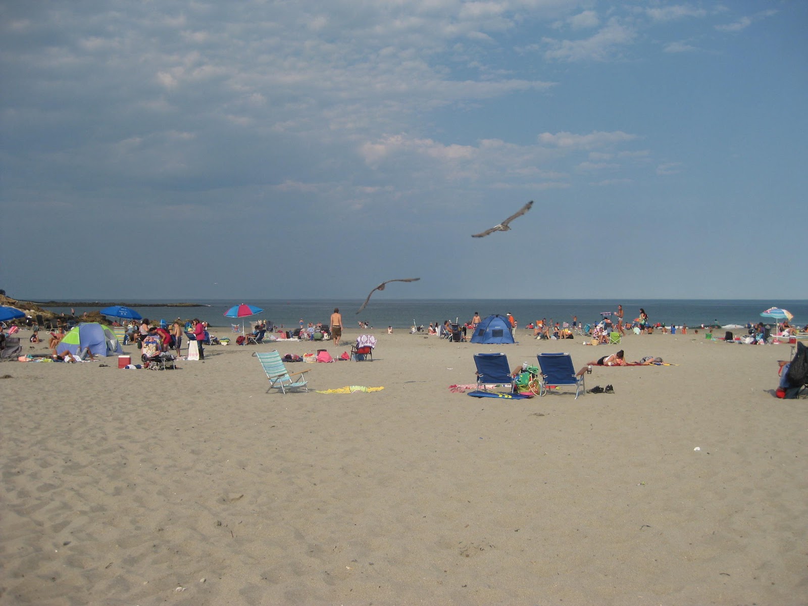 Piccalilli Days: August 2012