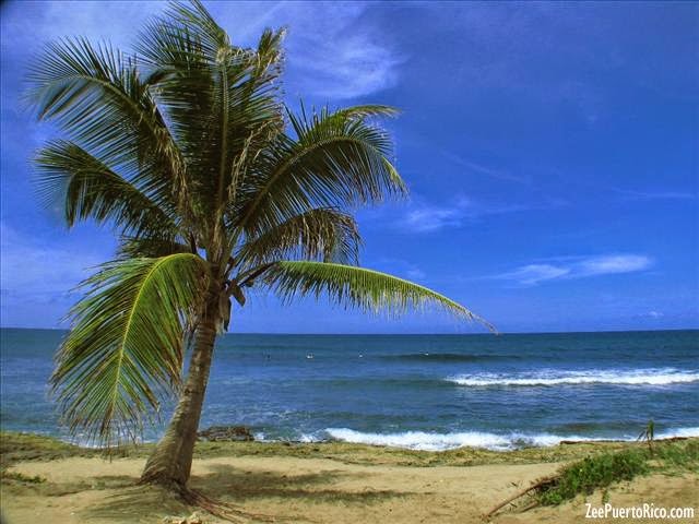 Puerto Rico, Isla Bella !!!: Wilderness Shore Break/Playa Wilderness ...