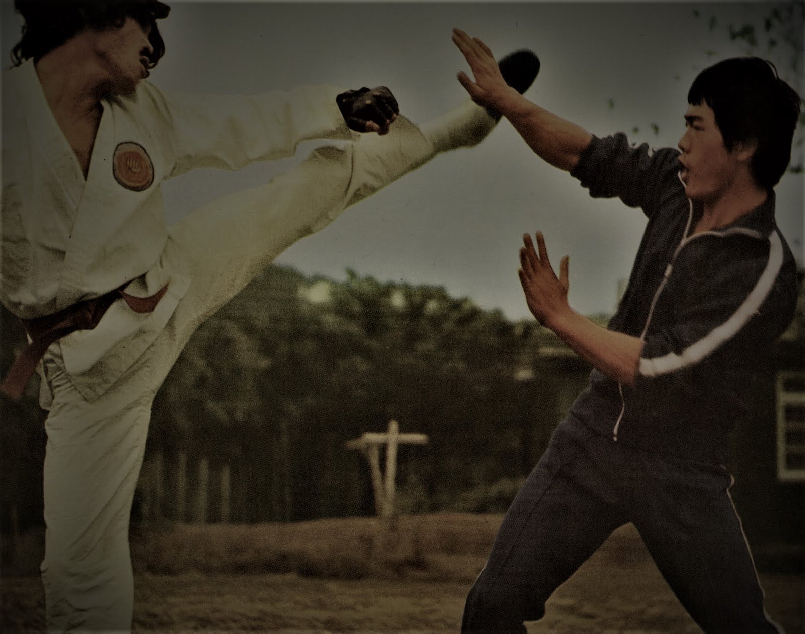 Grandmaster Hwang Jang Lee (Wong Cheng Li) 黃正利
