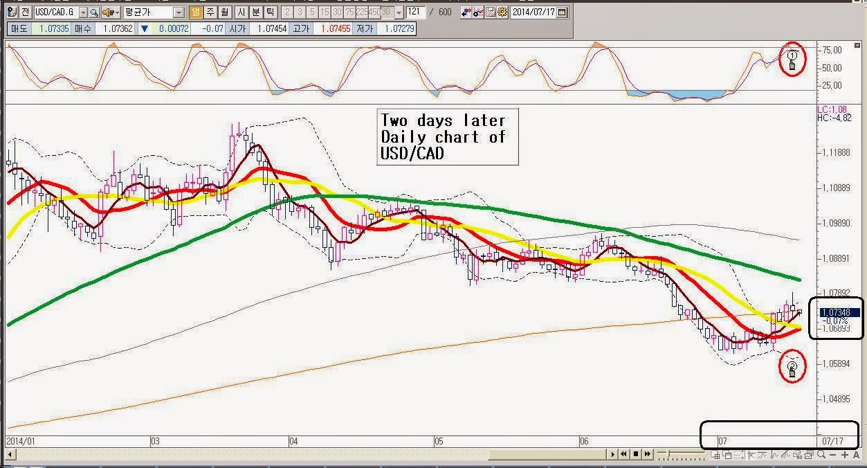 Cassandra's Chart for Forex & Stock: Two days later Daily chart of USD/CAD