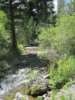 Highz's Ramblings: Red River and Cabresto Lake