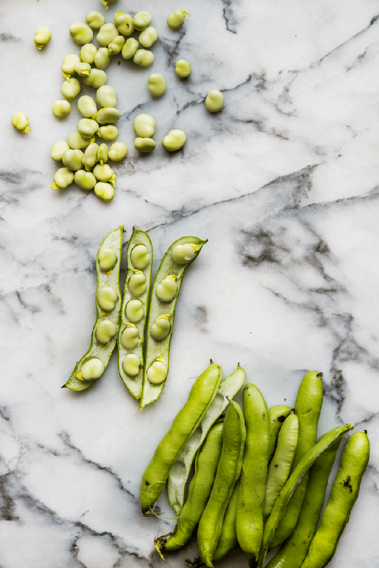 A Cornucopia of Spring Vegetables - WILD GREENS & SARDINES