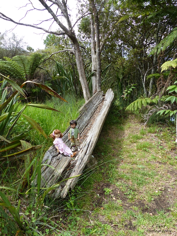 How Many Dolls?: Rewa's Village, Kerikeri, New Zealand.