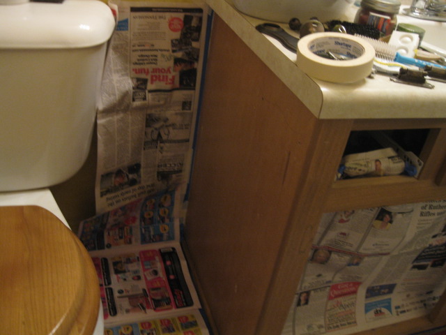 Robin T Crafty: Spray Painting Cabinets - Can It Be Done?