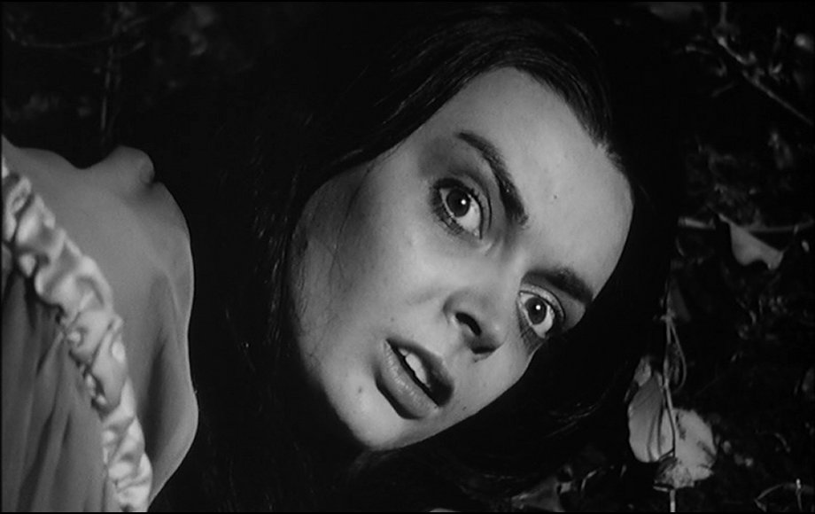 L'Alligatographe: Danse macabre