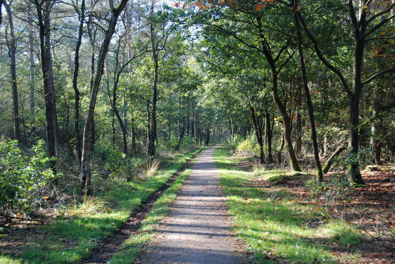 Henrietta Hobby in Europe: Sunday 23rd October - Otterloo, Holland