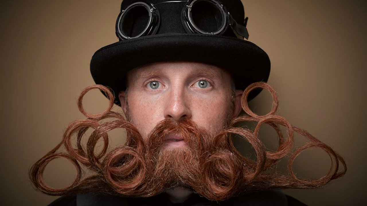 Harfang Voyageur: journée des barbus