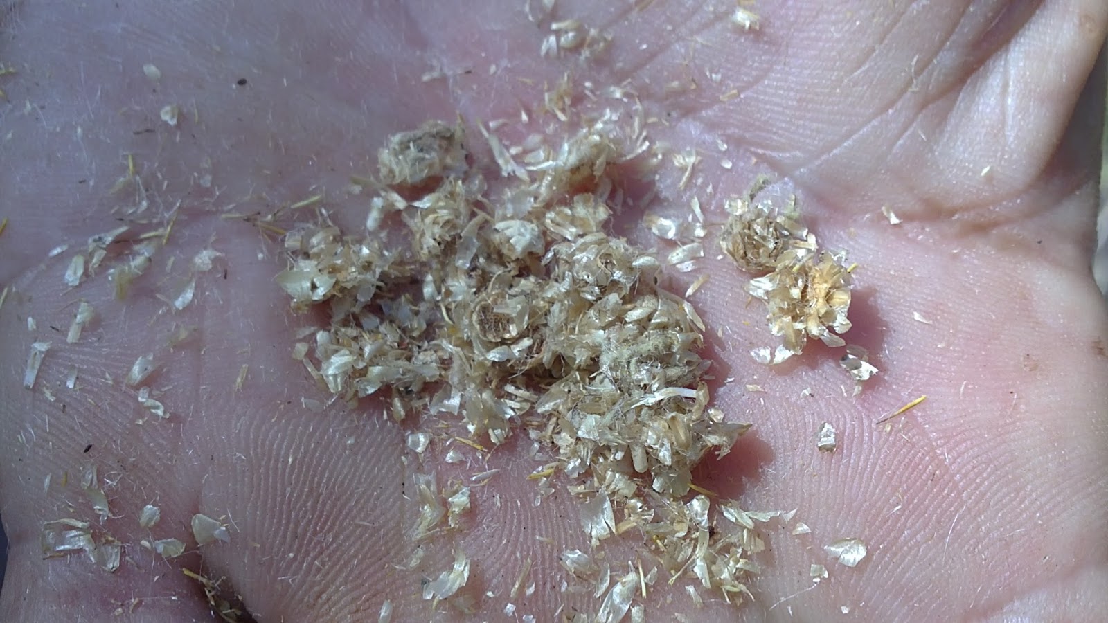 Arroba de los Montes: LA YESCA EN ARROBA DE LOS MONTES