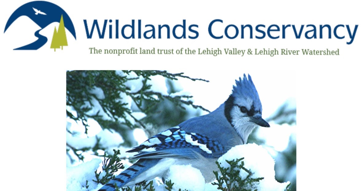 PA Environment Digest Blog: Wildlands Conservancy Highlights Programs ...