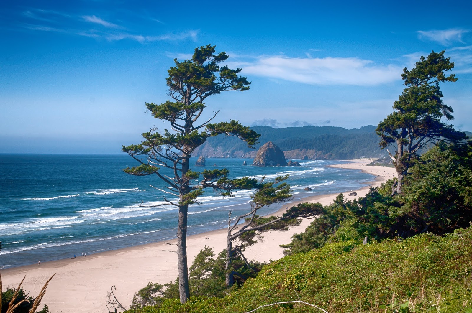 The Adventures of Asher & Journey: Canon Beach, Oregon