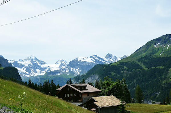 Up, close and personal with alps - Wa Tell Tales