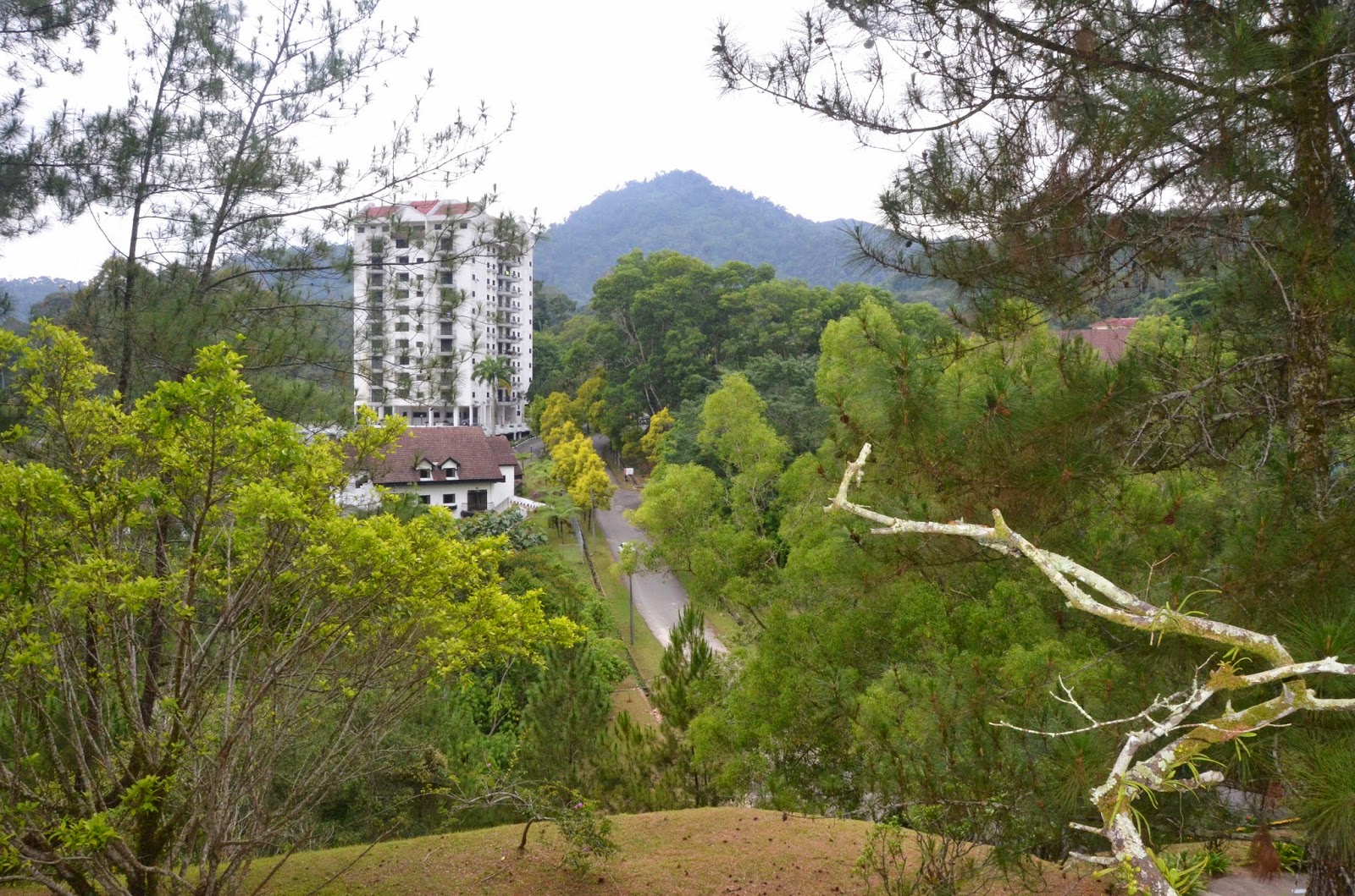 Momstagram: A Taste of Genting View Resort