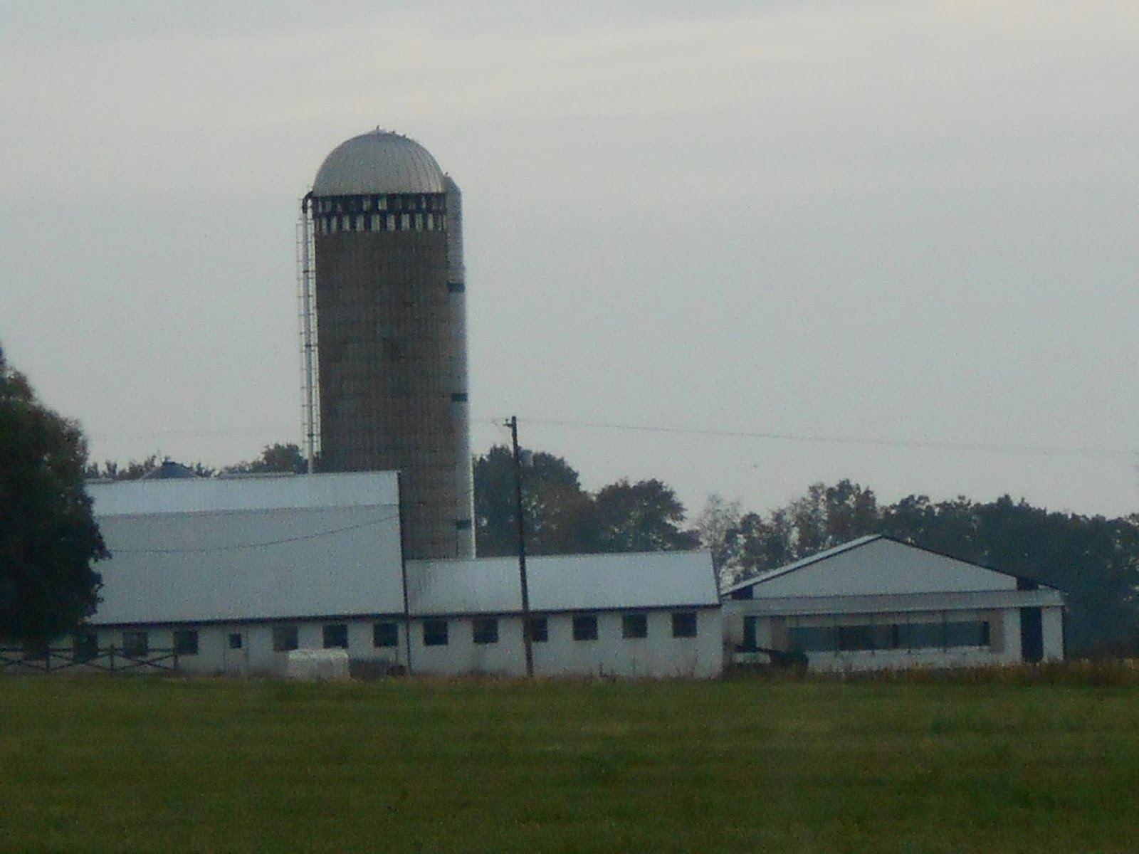 New York State of Mind: FIRST SILOS FOR 2018