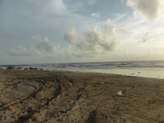 snippets from my life: A visit to Manori beach