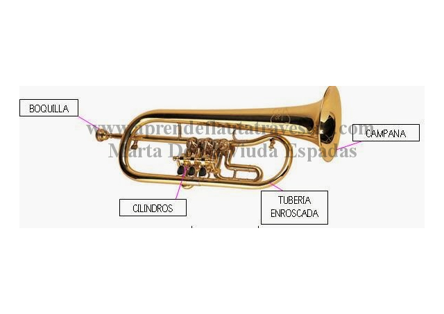 Aprende Flauta Travesera: Fliscorno